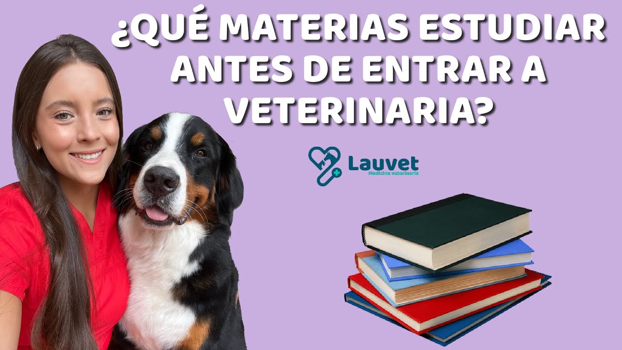 Bachillerato para estudiar veterinaria Requisitos y opciones - Tras Tucada