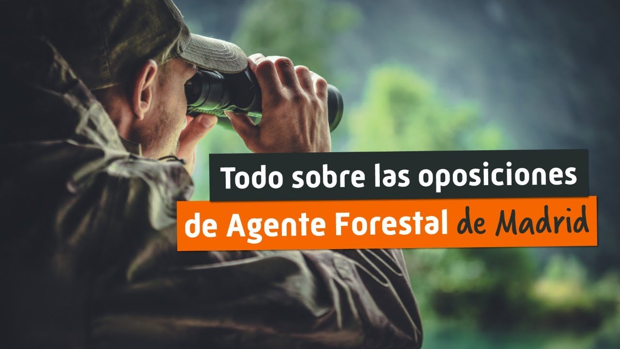 Cómo ser guarda forestal requisitos y estudios necesarios - Tras Tucada