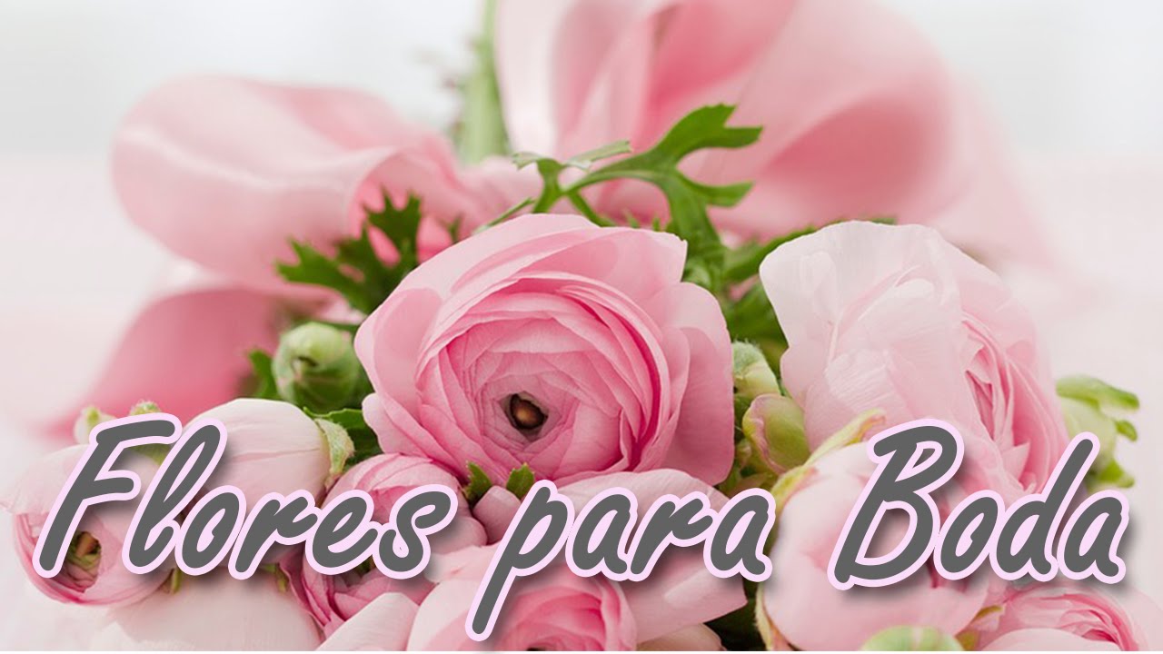 Flores de septiembre ideales para tu ramo de novia - Tras Tucada