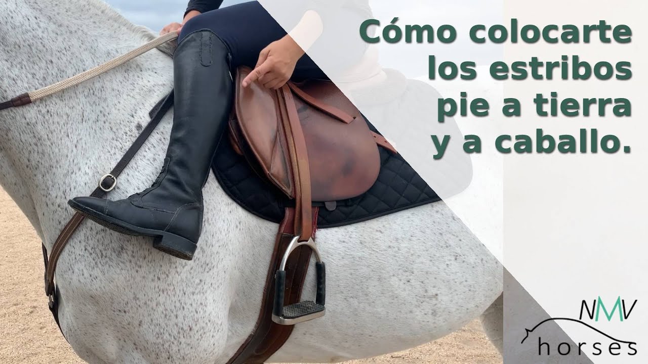Función y uso de la correa de estribo en equitación - Tras Tucada