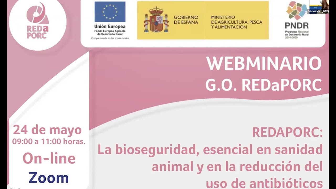 Mejora la sanidad animal en tu ganadería con asistencia remota - Tras ...
