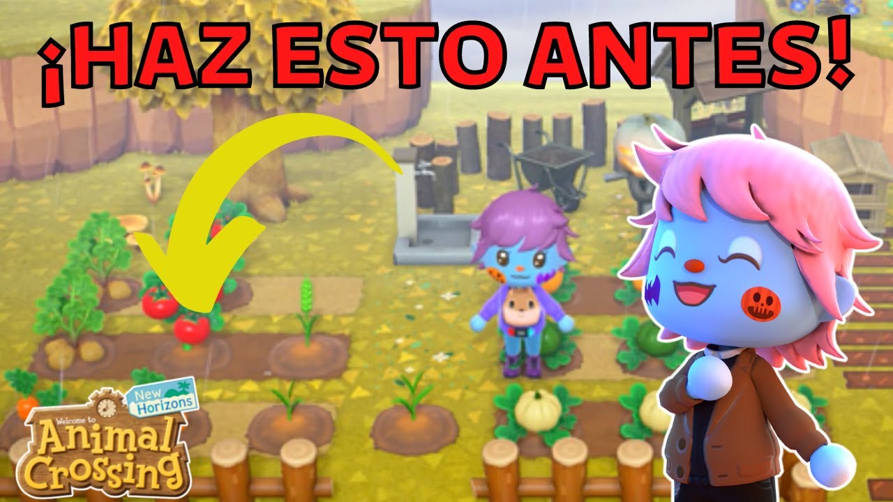 Obtén cañas de azúcar en Animal Crossing Guía rápida y fácil - Tras Tucada